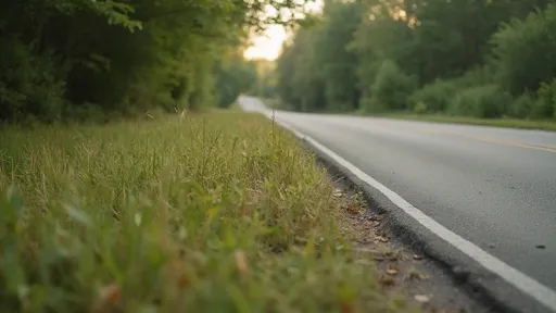 A Comprehensive Guide to Land Right of Way Laws and Regulations